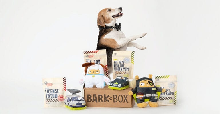Inside BarkBox: The Subscription Box That Redefines Pet Joy - Vogue ...