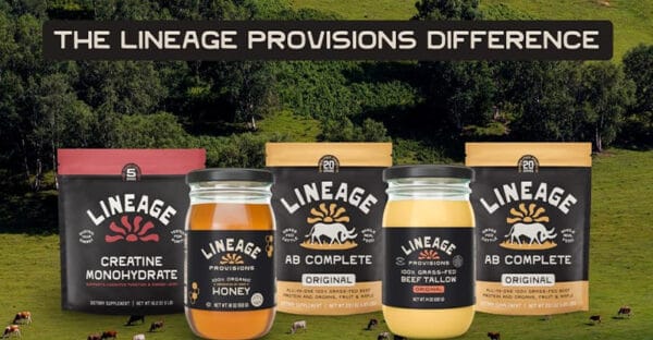 Lineage Provisions Crafting Today with the Wisdom of Generations ...